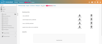 Citrix Connection Options in the NoTouch Solution
