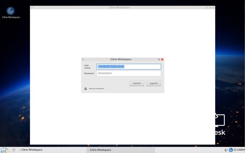 Citrix Connection Options in the NoTouch Solution