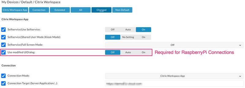 Citrix Connection Options in the NoTouch Solution